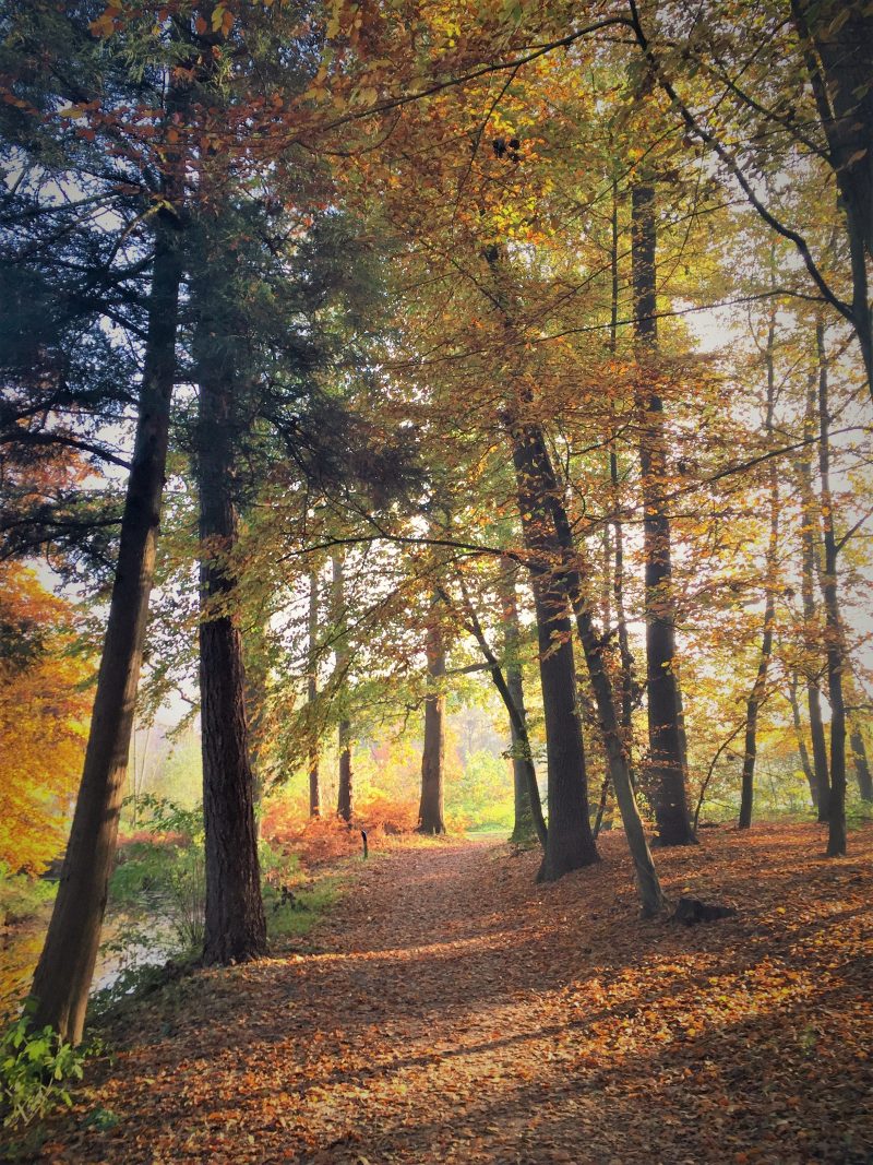 HET LANDGOED – Landgoed Staverden